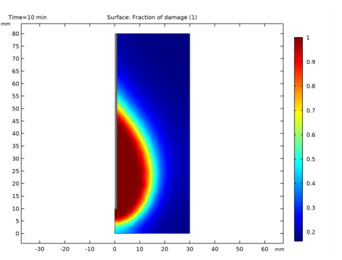 Microwave Heating of a Cancer Tumor