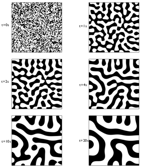 Phase Separation