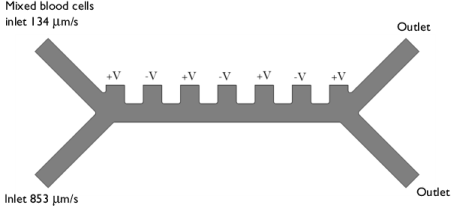 Dielectrophoretic Separation of Platelets from Red Blood Cells
