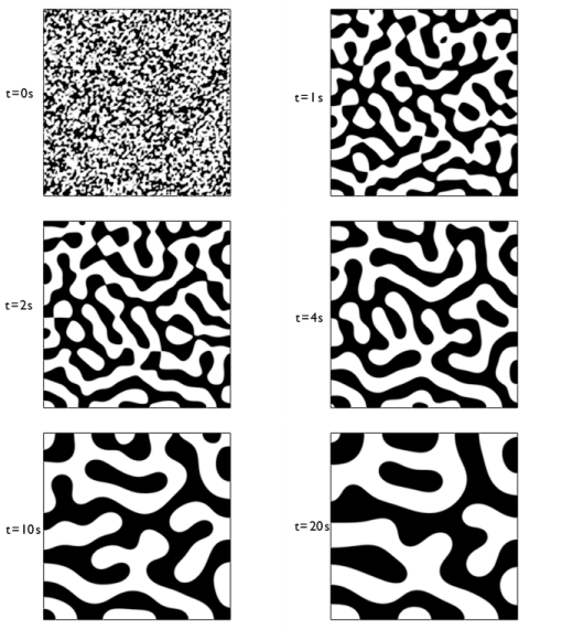 COMSOL 6.3 - Phase Separation