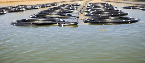 COMSOL 6.3 - Tutorial Model: Geothermal Heating from a Pond Loop